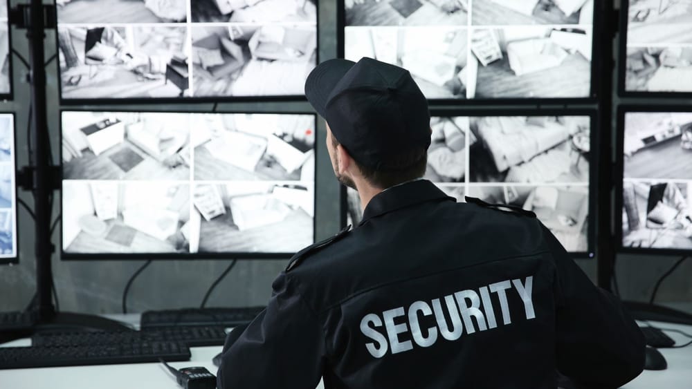 3D LiDAR Advances Security Technology